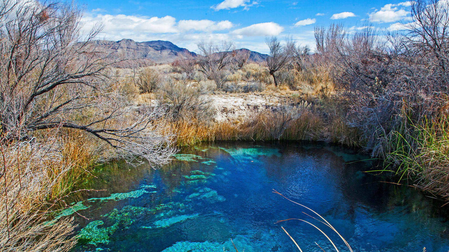 Tecopa Hot Springs and Campground – Camping and Hot Springs in Tecopa